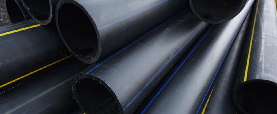 SABS and CEISLAB consolidate their collaboration - CEISLAB